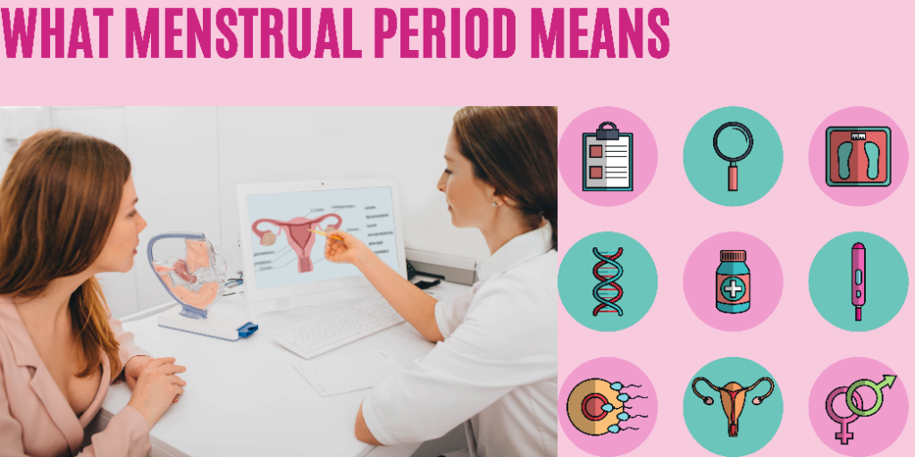 WHAT MENSTRUAL PERIOD MEANS – Femplete